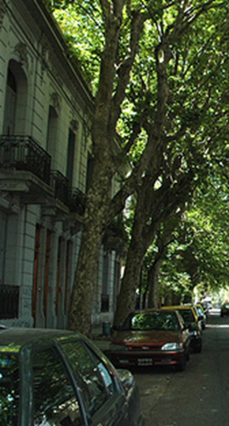 Hasta que me quedé sin chocolate – Las plumas del mochuelo